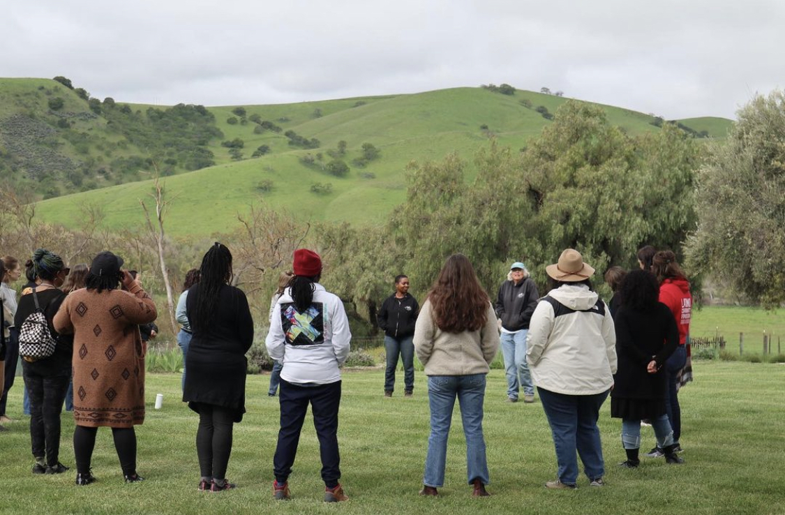 Soil and Shadow Learning Platform